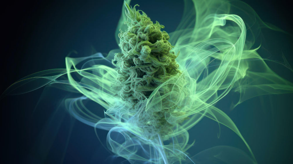 THCV Effects: Exclusive Properties of this Cannabinoid